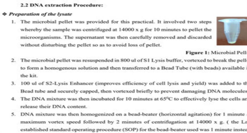 Download Medical Notes on DNA Extraction Practical