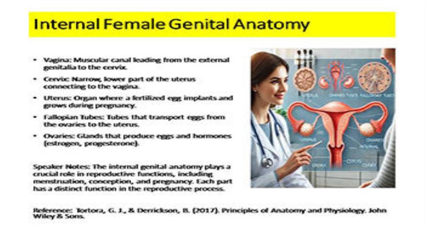 Sexual and Reproductive Health: Female Genital Anatomy and Health