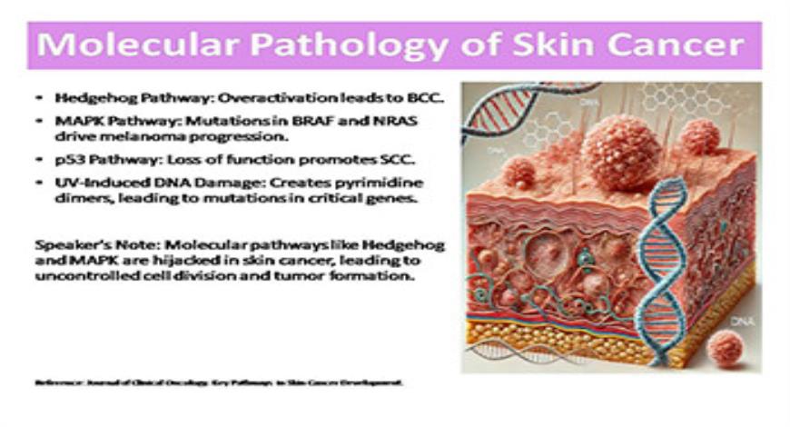 Skin Cancer - Genetics and Molecular Pathology | Medicpresents.com