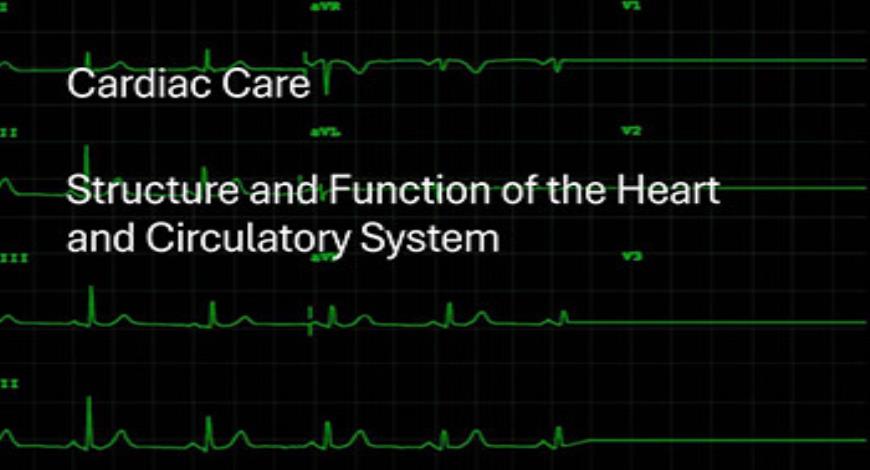 Cardiac Care: Structure & Function of the Heart and Circulatory System